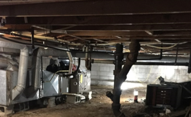 Mold Testing, Topeka, KS | Howell Healthy Homes